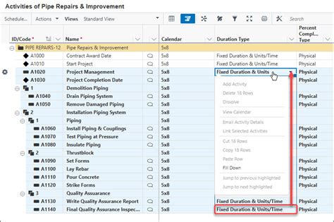 Lump Sum Cost Loading In P6 Eppm Ten Six