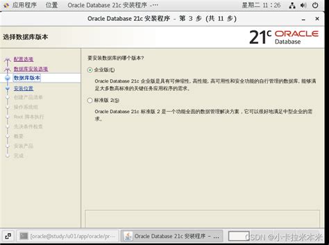 Linux 安装oracle 21coracle21c下载 Csdn博客