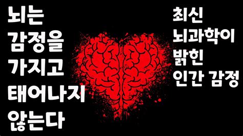 뇌가 감정을 만드는 방식 I 이것이 감정에 절대적이다 I 감정 조절을 위한 필수 뇌과학 Youtube