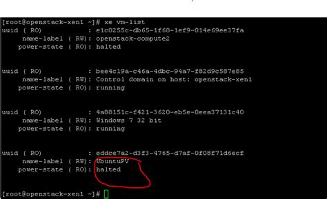 i started something creating ubuntu 12 04 paravirtualized vm for xen