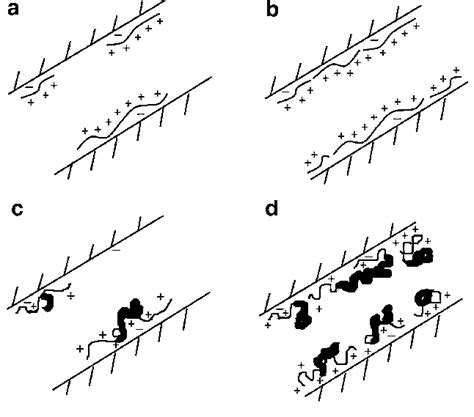 A Schematic Illustration Of The Presumed Effects Of The Two