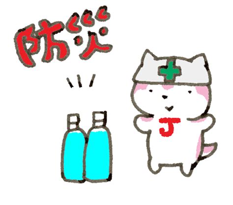 Jkc特別本部展2025 イベントスペースのご紹介 一般社団法人 ジャパンケネルクラブ