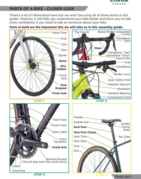 Home Delivery Bike Assembly Guide Evans Cycles