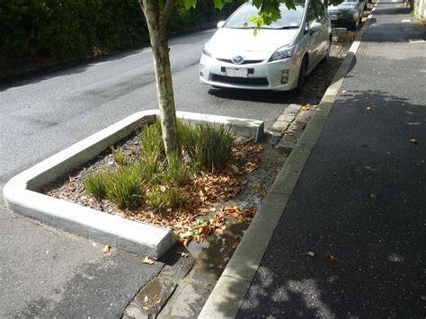 In Street Raingarden Tree Pits Ralf Pfleiderer Environmental Consulting
