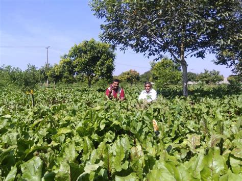 K B Udaya Kumar Posted On Linkedin