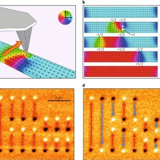 The TMW Process A Schematic Of TMW Operation An MFM Tip Induced Download Scientific