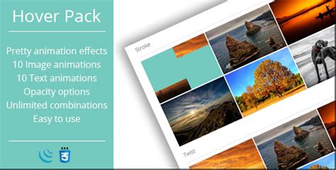 8 Best Wordpress Image Hover Plugins Rokin