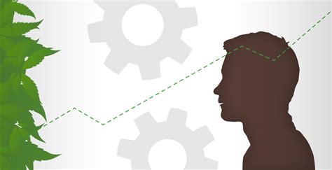 Polish Your Advanced Cannabis Growing Techniques To Challenge Yourself Amsterdam Genetics