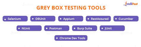 Grey Box Testing Techniques Examples And More Intellipaat