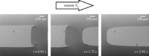 Propagation Of The Dual Of The Schallamach Wave Or The Separation