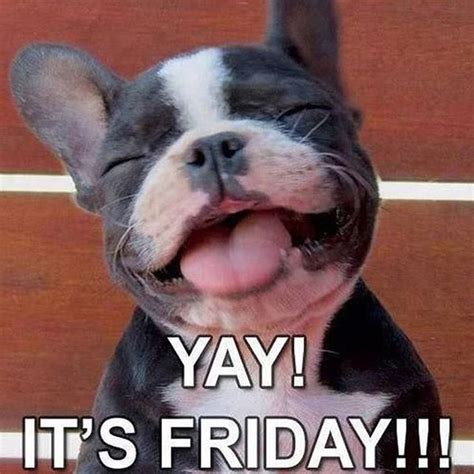 75 Happy Friday Memes That Ll Make Your Weekend A Lot Better