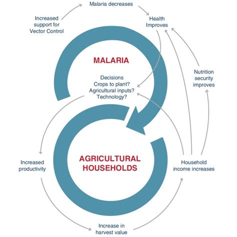 Conceptual Framework For The Long Term Impact Of Malaria On The Income