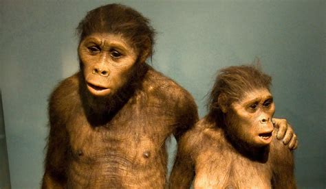 How Fossils Found In Asia Could Rewrite History Of Human Evolution And