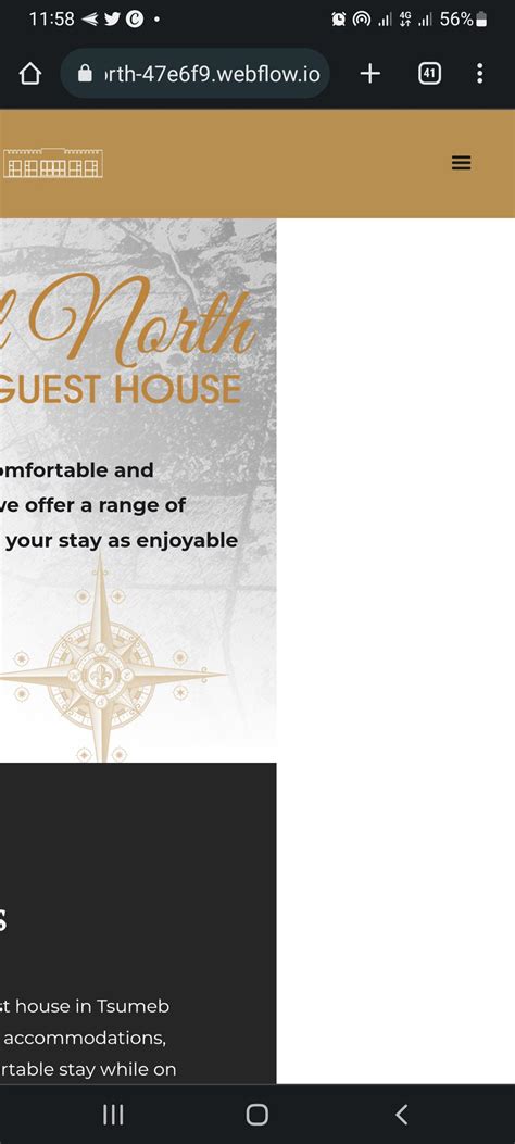 This Keeps Happening To My Published Page Whenever I Apply A Scroll Animation Does Anyone Know