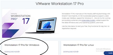 How To Download And Install Kali Linux On Windows Using Vmware By