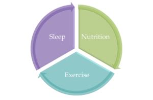 Exercise And Movement For Health Wellness And Great Work Gregg Vanourek