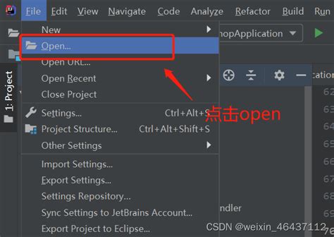 idea导入springboot项目运行教程 csdn博客