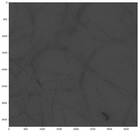 Micrograph Analysis Tutorial — Simplipytem 108 Documentation
