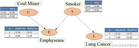 【数据挖掘】贝叶斯网络理论及python实现贝叶斯网络应用实例 Csdn博客