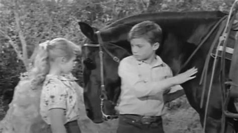 Watch Fury S01 E15 Joey Sees It Through Free Tv Shows Tubi