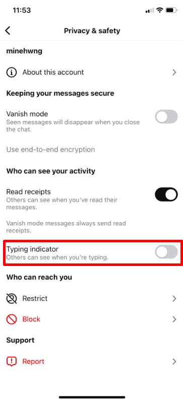 How Do I Turn Off Or On Typing Indicator On Instagram Build My Plays
