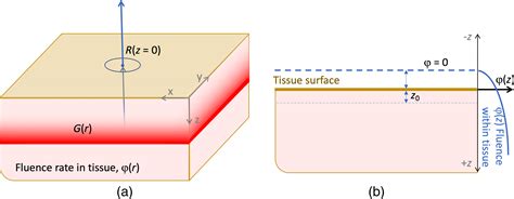 Estimation Of Diffuse Cherenkov Optical Emission From External Beam Radiation Build Up In Tissue
