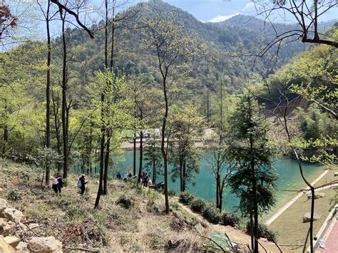 Lewang🍥 On Twitter 报了一个徒步团，带着儿子来了杭州富阳徒步，一路暴走了 14km 山路，跟团的好处是有领队带路，但是时间太赶了，徒步也变成了都市快餐，本想带着儿子走慢