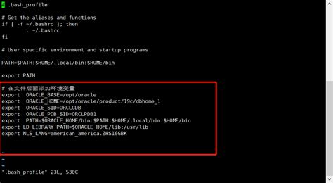 oracle安装配置及遇到内存不足问题 oracle安装磁盘空间不足 csdn博客
