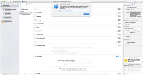IOS App Groups