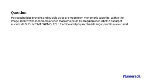 Solved Polysaccharides Proteins And Nucleic Acids Are Made From Monomeric Subunits Within The