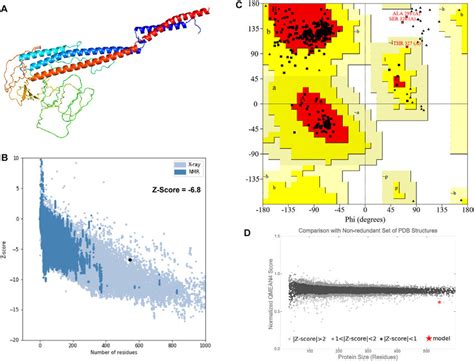 tertiary structure of the vaccine construct a refined model