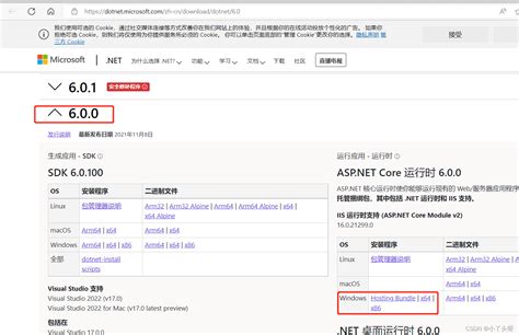 Abp项目（net） 部署到服务端iis 无法正常打开页面运行问题abp Net6 Csdn博客