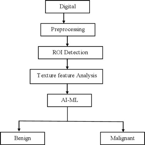 Figure 1 From A Machine Learning Method For Early Detection Of Breast Masses On Screening