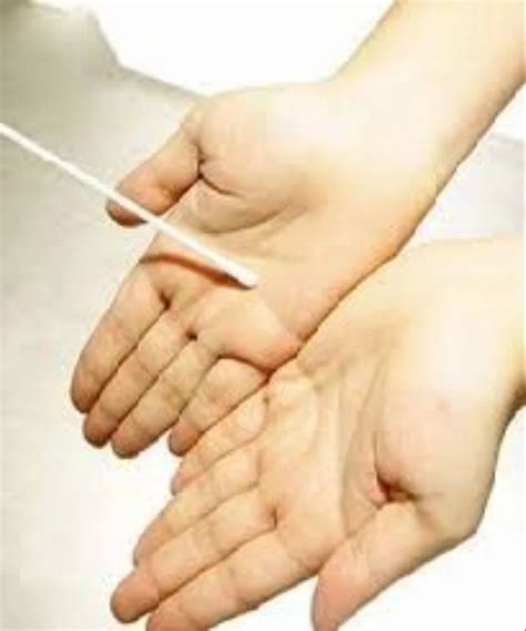 Hand Swab Microbial Testing And Analysis At ₹ 1800 Sample In Chennai Id 2855428966362