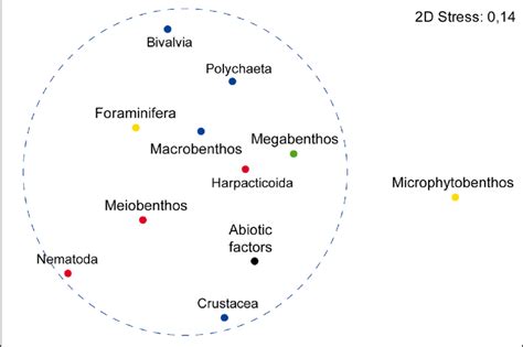 Correspondence Among The Spatial Distribution Patterns Between Size Download Scientific Diagram