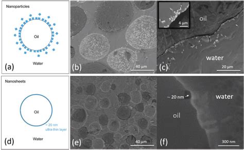 The Distribution Of Cubdc Along The Interface Np‐cubdc A Diagram Download Scientific Diagram
