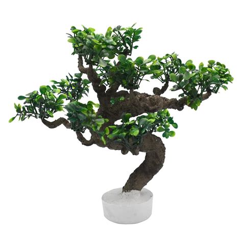 El Arte Del Bonsái De Arrayán De Poda Y Cuidado Guía De Arbolado