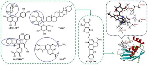 Atiqctpc Targeting Mmp 9 A Key Step To Slowing Primary Tumor Growth And Inhibiting Metastasis