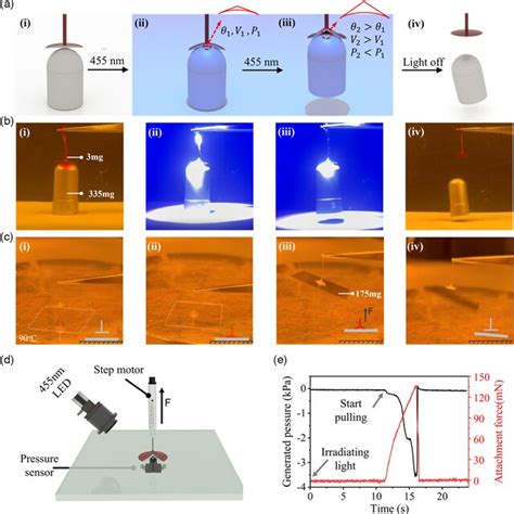 Suction‐cup‐based Gripper For Gripping And Holding The Object A The
