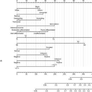 Nomogram For Predicting And Year CSS In Patients With Download Scientific Diagram