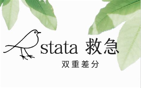【零基础】如何用stata快速完成did实证部分——附带命令及结果解释的那种 研究男大学生 论文 哔哩哔哩视频