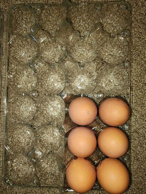 What Is Agentic Object Detection Landingai