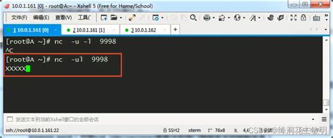 Nc命令使用方法nc发送udp包 Csdn博客 Nc命令使用方法nc发送udp包 Csdn博客