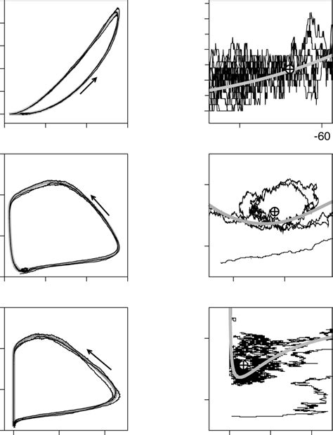 Comparison Of Deterministic And Stochastic Trajectories In Q Space The