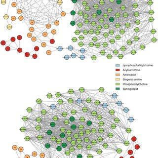 Metabolic Network Constructed Based On The Correlation Matrix Of Download Scientific Diagram