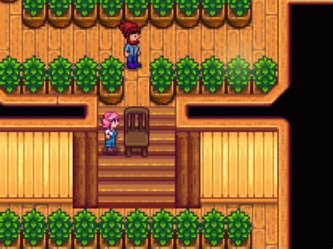 Sophia Just Spawned A Chair In My House R Stardewvalleyexpanded