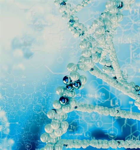 What Is Ectd The Story Of The Electronic Common Technical Document Extedo