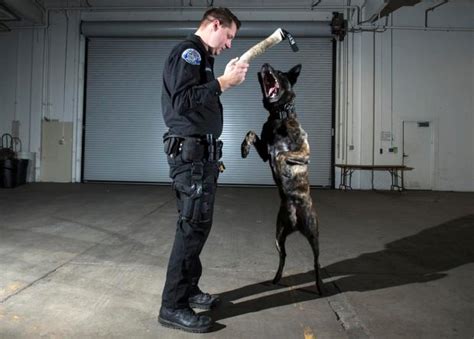 Westminster Officers Quite Popular Orange County Register