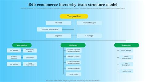 B B Ecommerce Hierarchy Team Structure Model B B Digital Commerce Structure Pdf