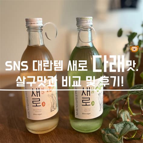 새로다래 맛 진짜 다래맛일까 네이버 블로그